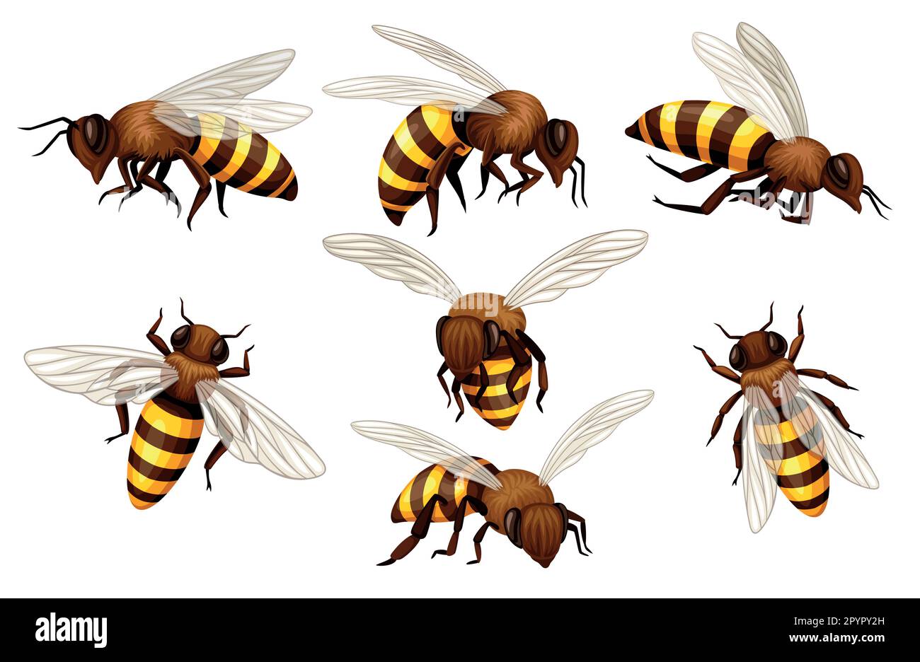 Set of bees Stock Vector Image & Art - Alamy
