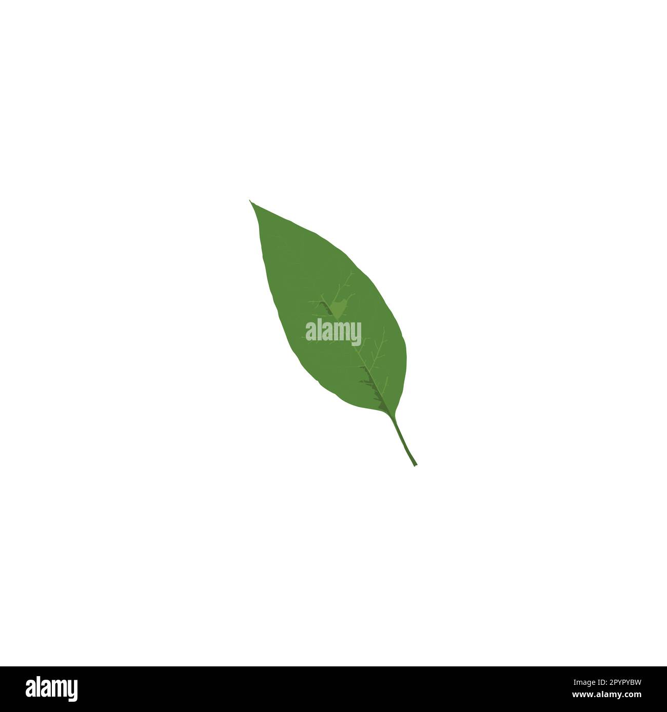 Leaf, illustration geometric symbol simple logo vector Stock Vector ...