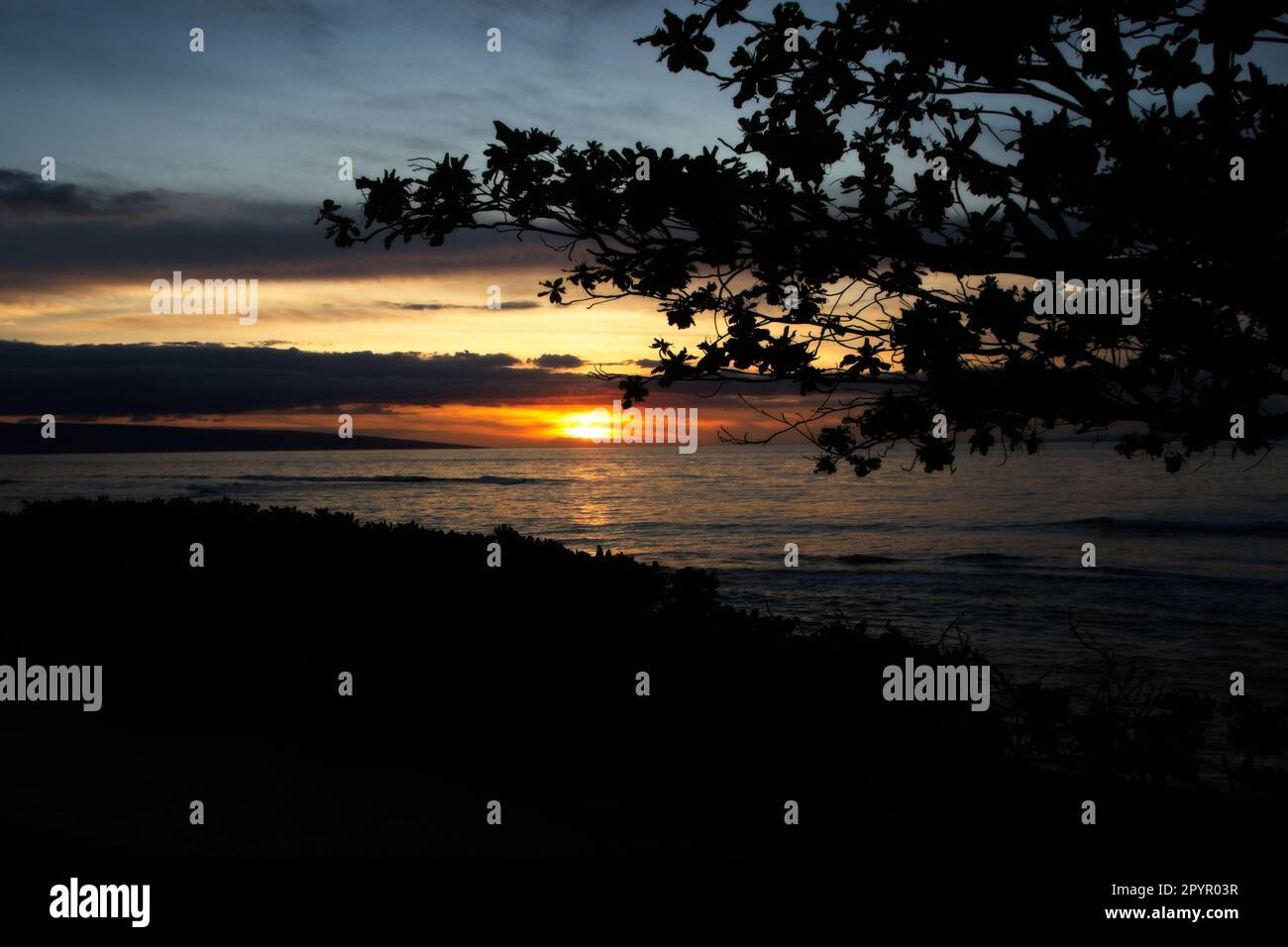 Spectacular sunset near Kaanapali, Maui. Features silhouetted shoreline and tree leaves ...