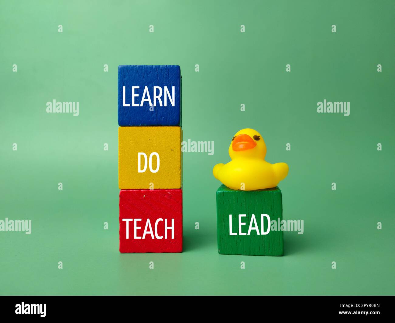 Yellow duck and colored cube with the word LEARN DO TEACH LEAD on green ...