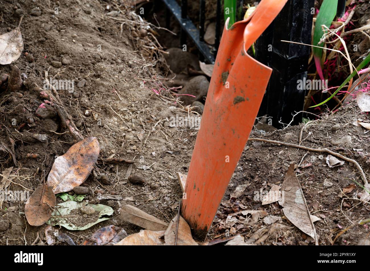 Tools of the trade, an orange spade has been used for digging during ...