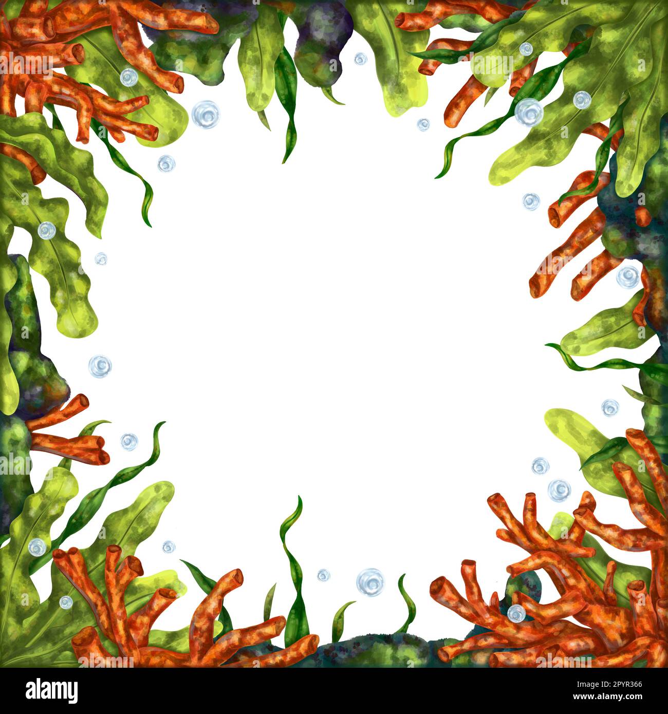 Square marine frame made of tropical fish, corals, algae, stones ...