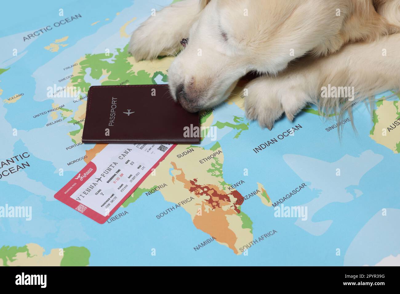 Dog lying near passport and ticket on world map, closeup. Travelling ...