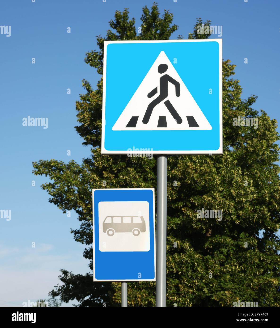 Traffic signs Pedestrian Crossing and Bus stop on city street Stock ...