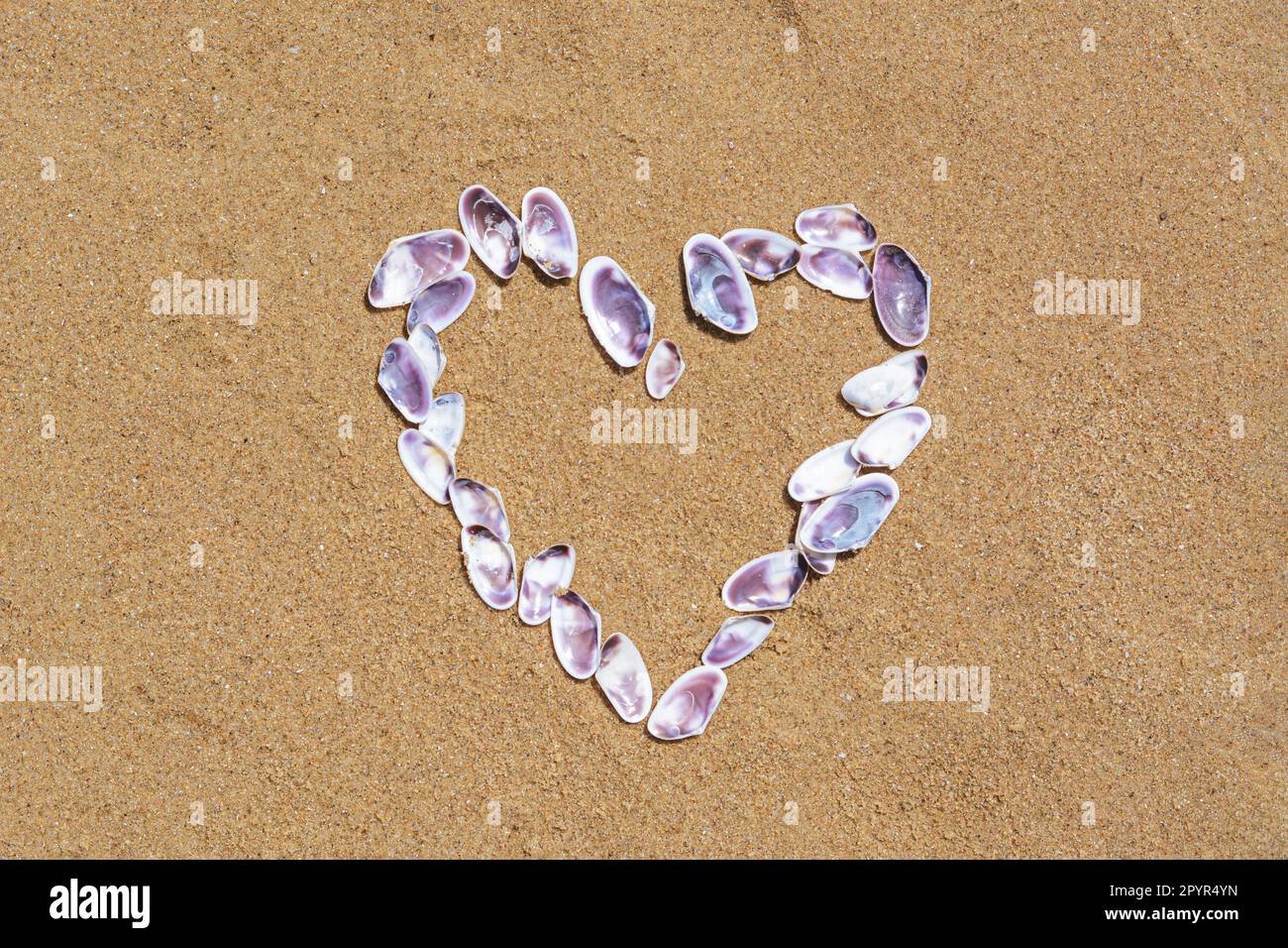 Heart made shells on beach hi-res stock photography and images - Alamy