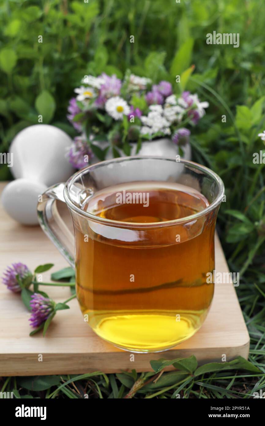 Cup of aromatic herbal tea, pestle and ceramic mortar with different ...