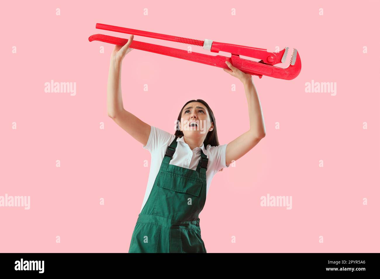 Service monkey woman hi-res stock photography and images - Alamy