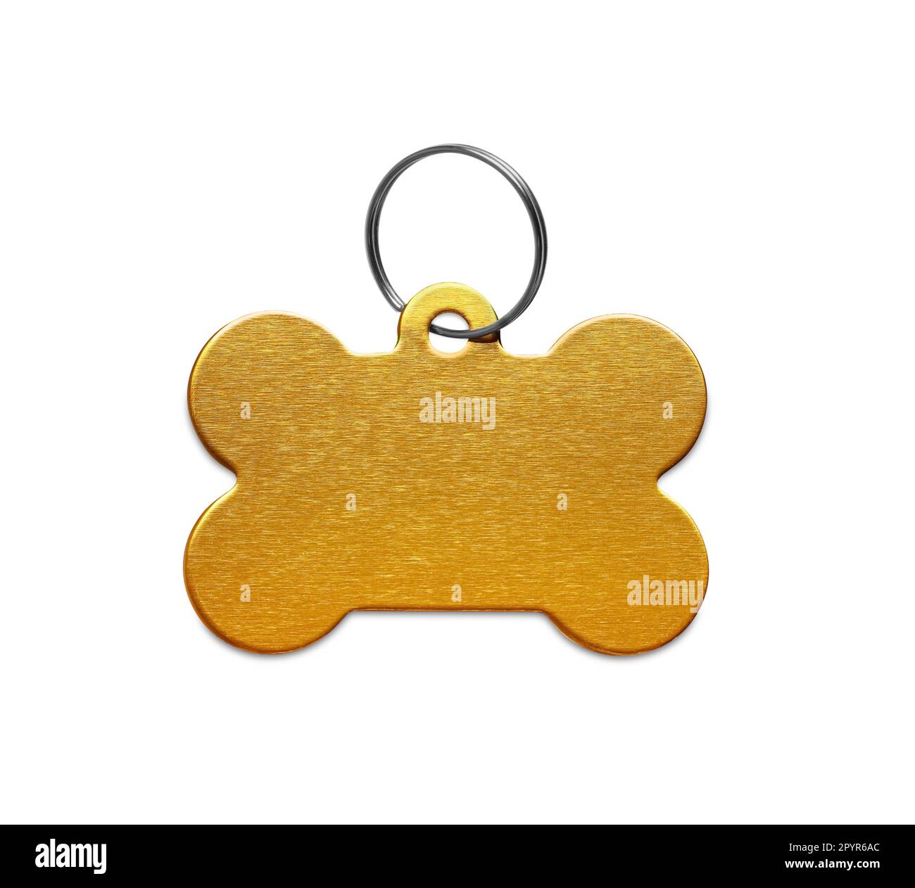 Golden metal bone shaped dog tag with ring isolated on white Stock ...