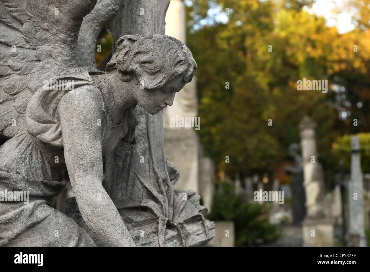 Beautiful statue of angel at cemetery, space for text. Funeral ceremony ...