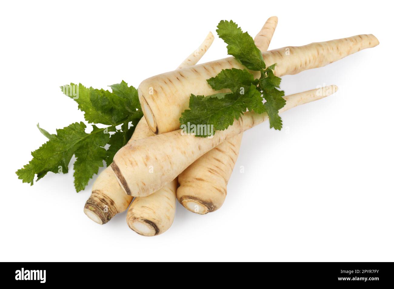 Tasty fresh ripe parsnips on white background Stock Photo - Alamy