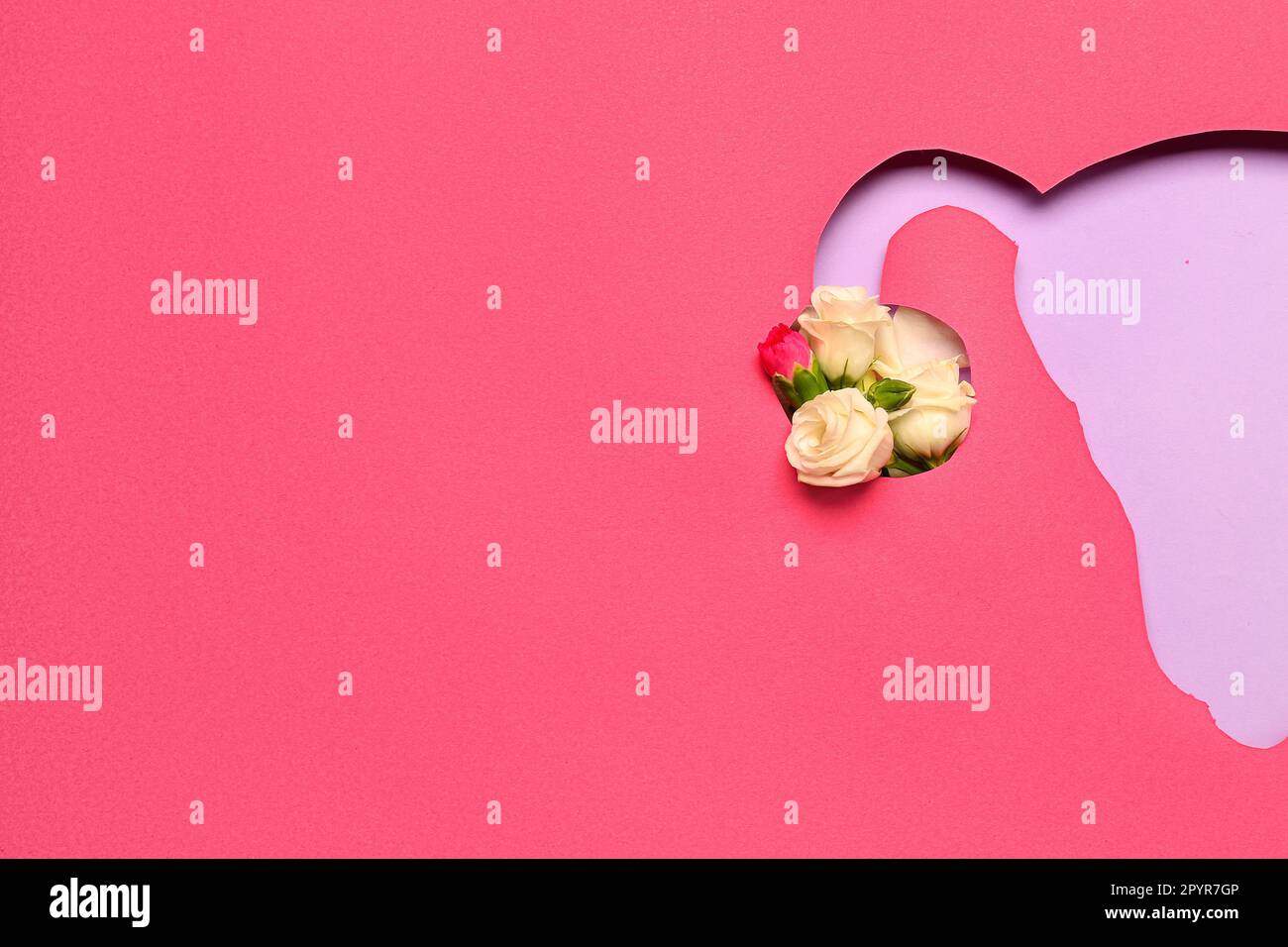 Female reproductive system flowers hi-res stock photography and images ...