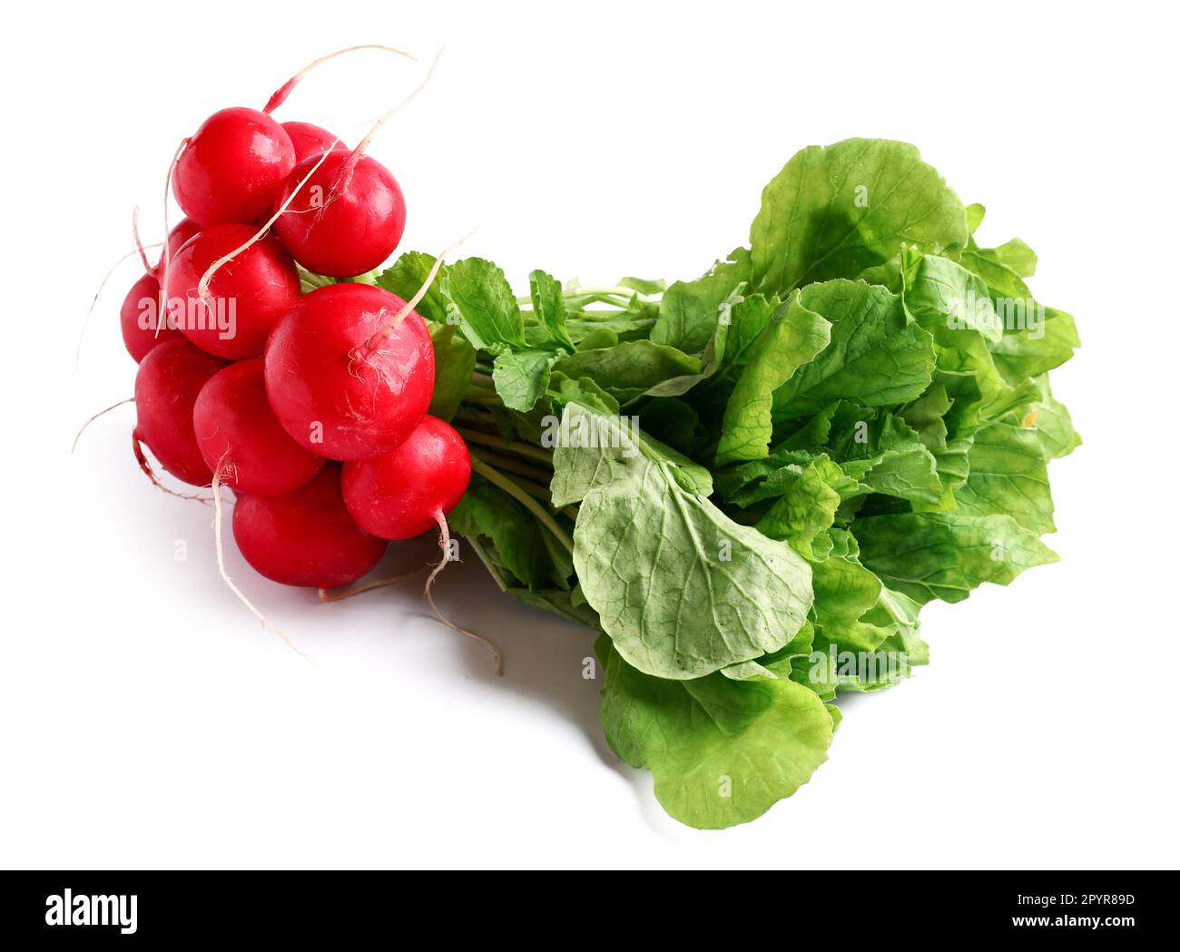 Fresh radishes with leaves on white background Stock Photo - Alamy