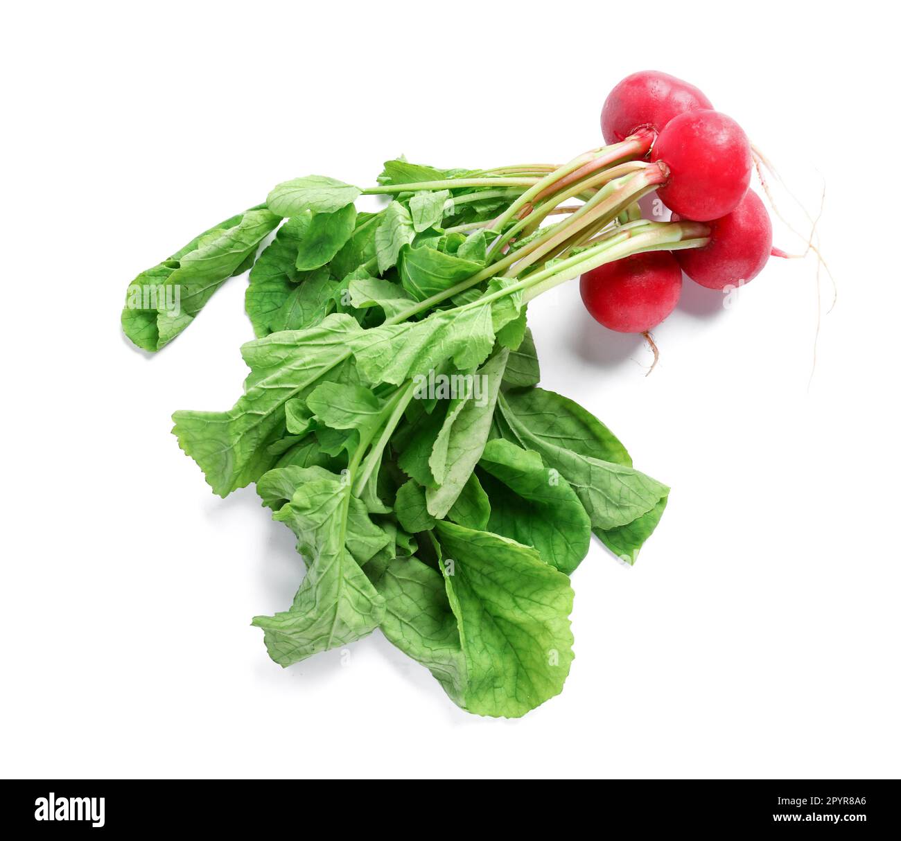 Fresh radishes with leaves on white background Stock Photo - Alamy