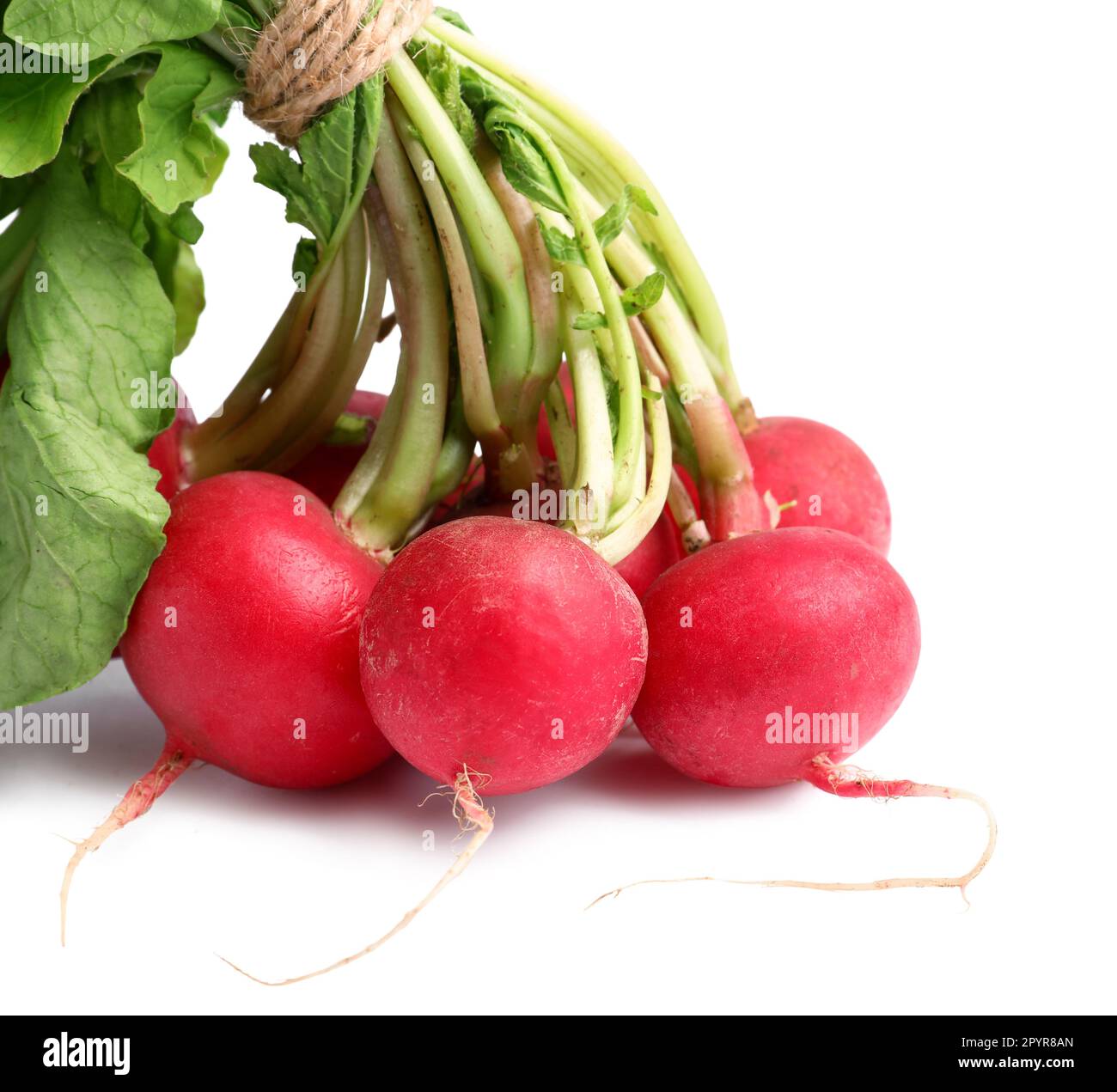 Fresh radishes with leaves on white background Stock Photo - Alamy