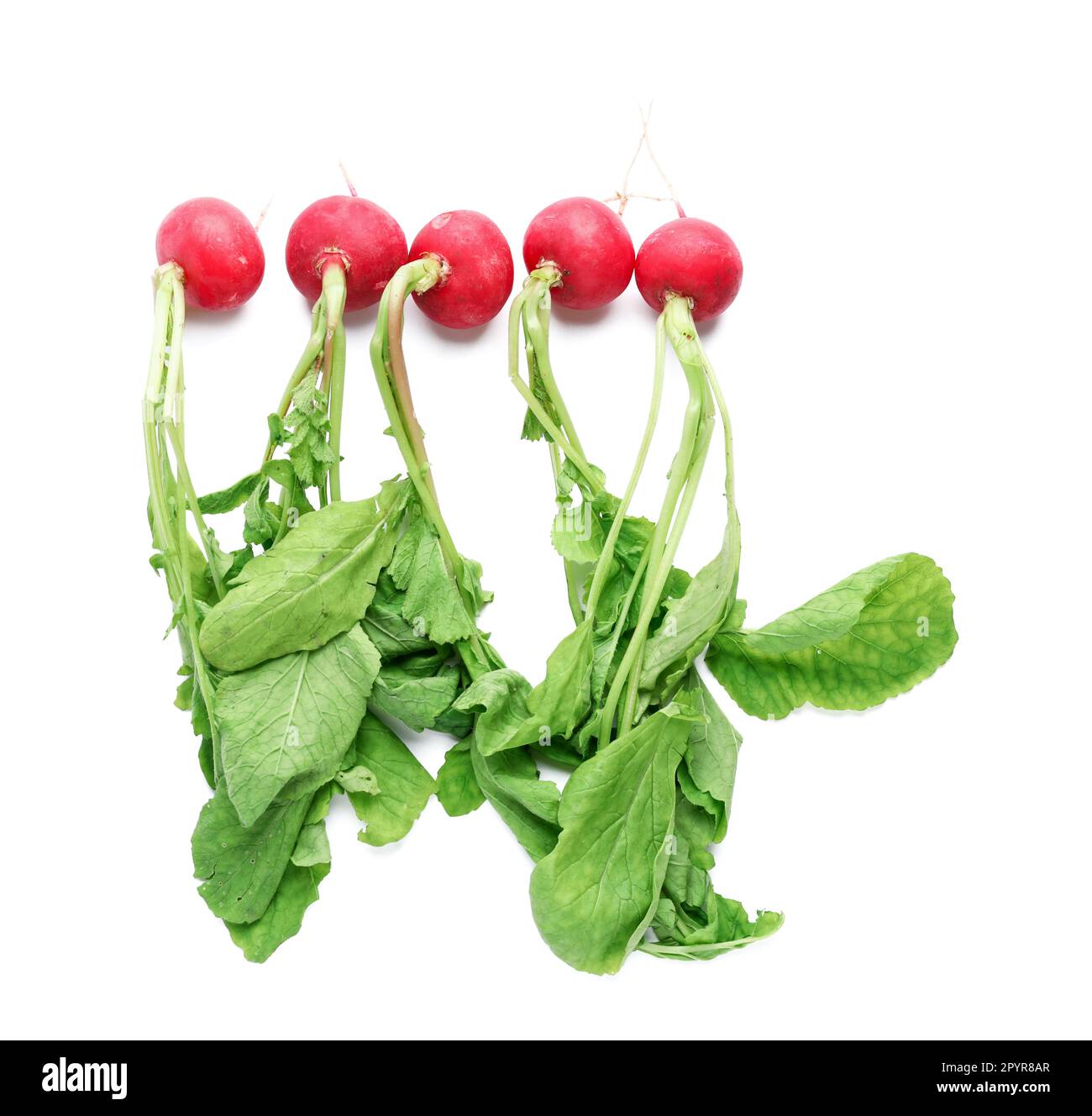 Fresh radishes with leaves on white background Stock Photo - Alamy