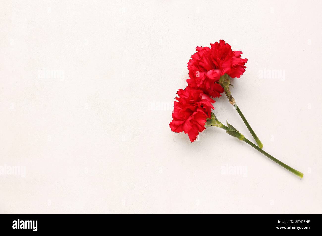 Memorial day floral text background hi-res stock photography and images ...