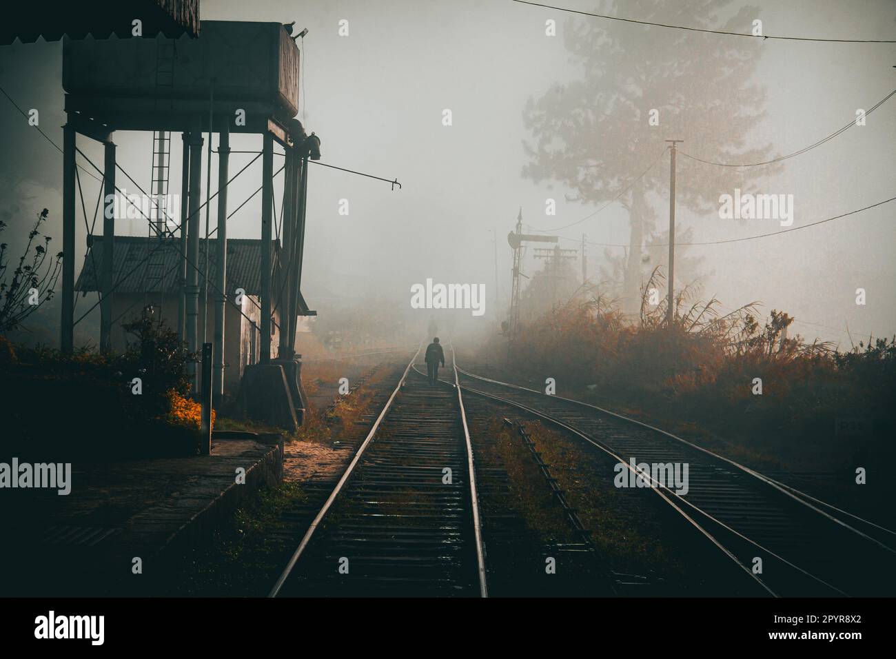 The early morning commute in Sri Lanka Stock Photo - Alamy