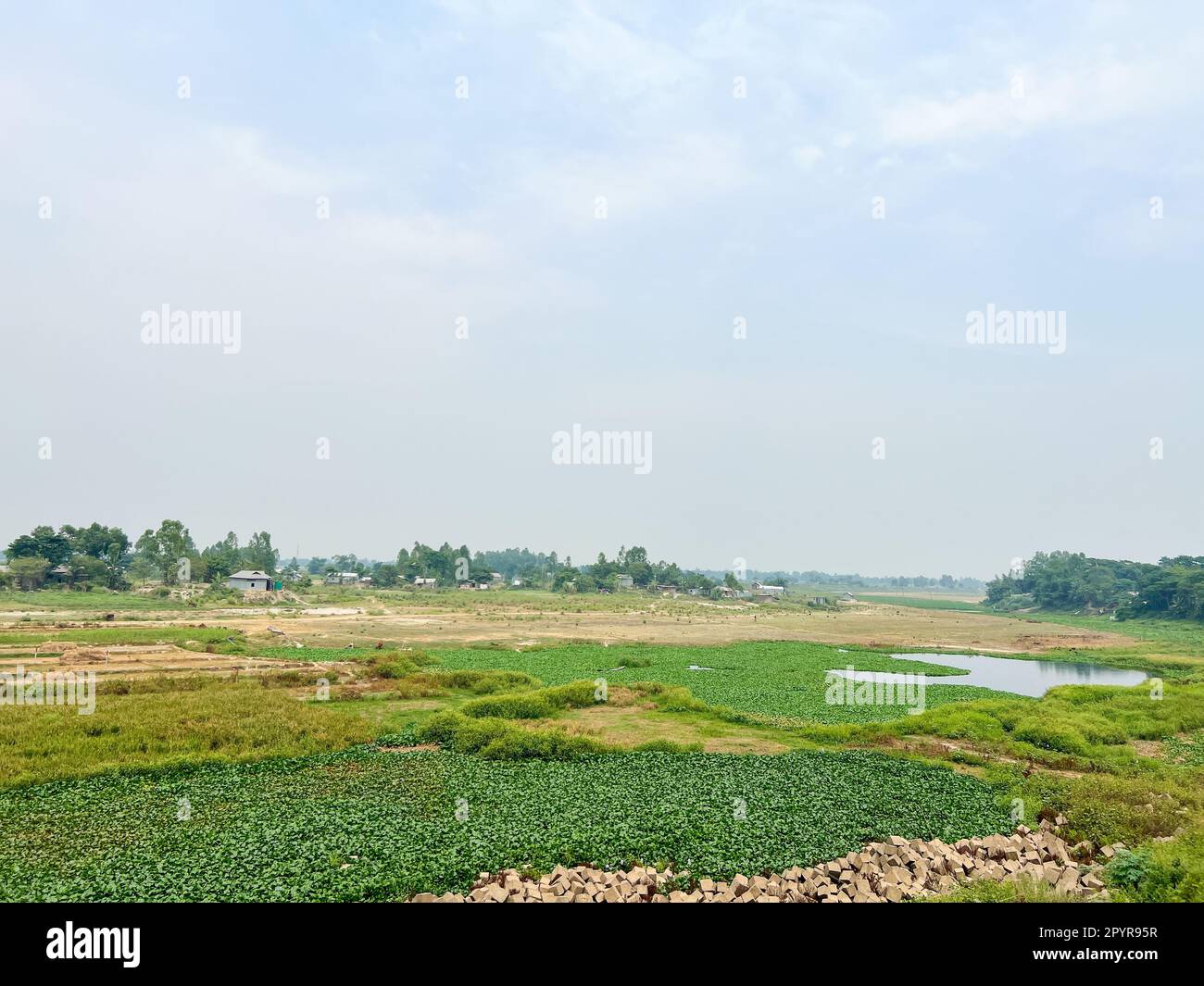 Scenic view of rural area of Bangladesh Stock Photo - Alamy