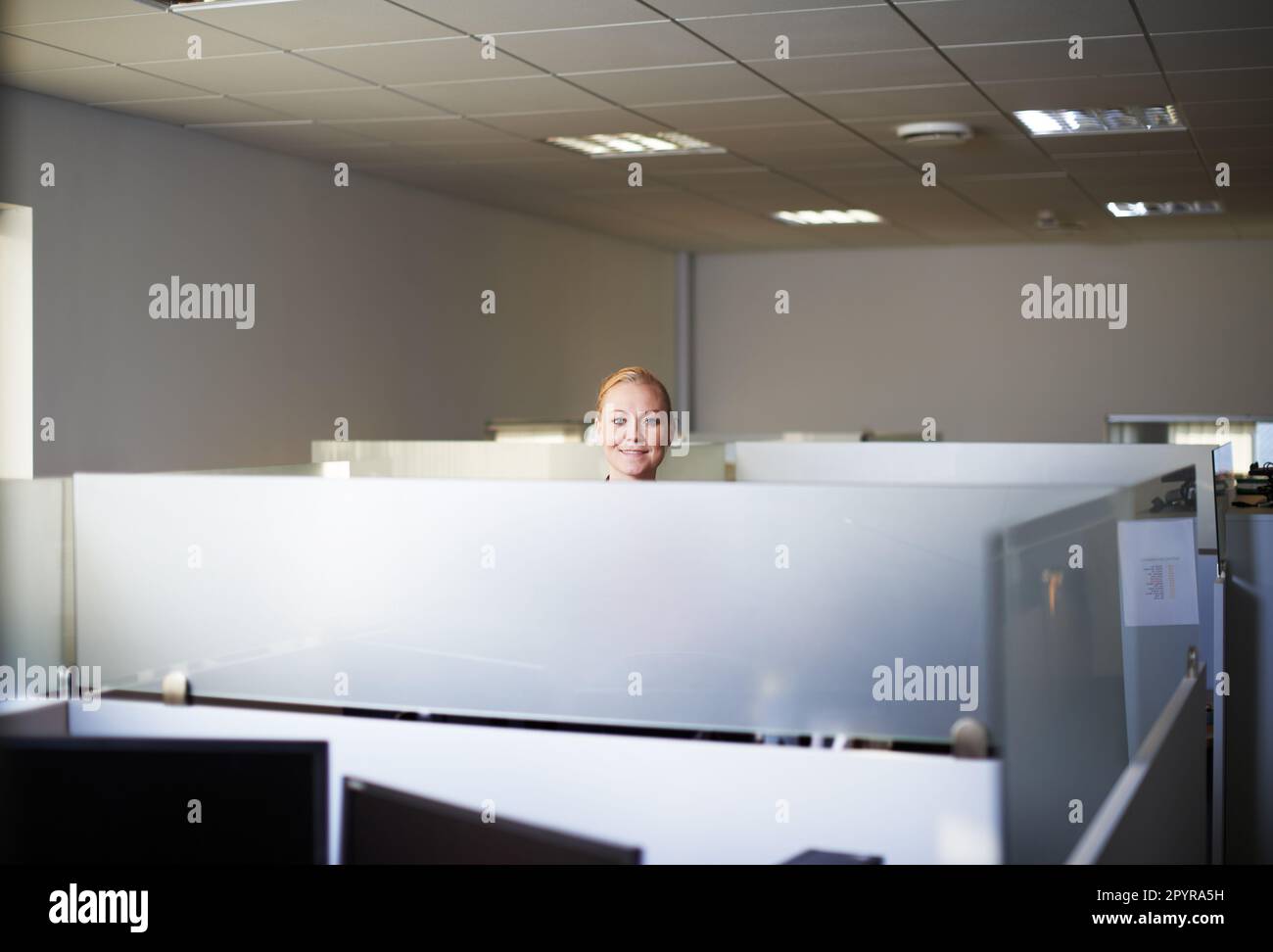 Work is what you make it. Portrait of an attractive young woman standing in her office cubicle ...