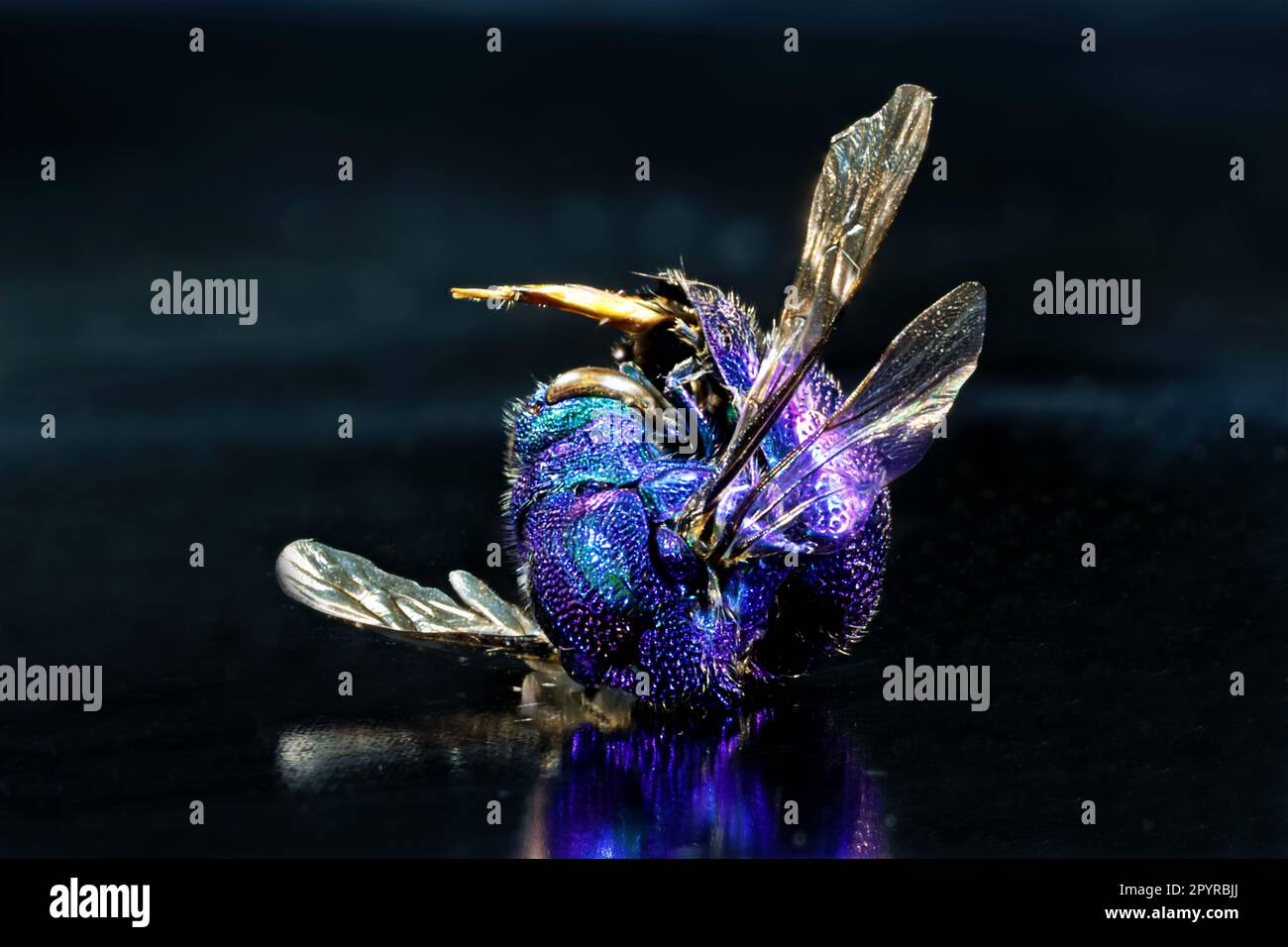 F25 hi-res stock photography and images - Alamy
