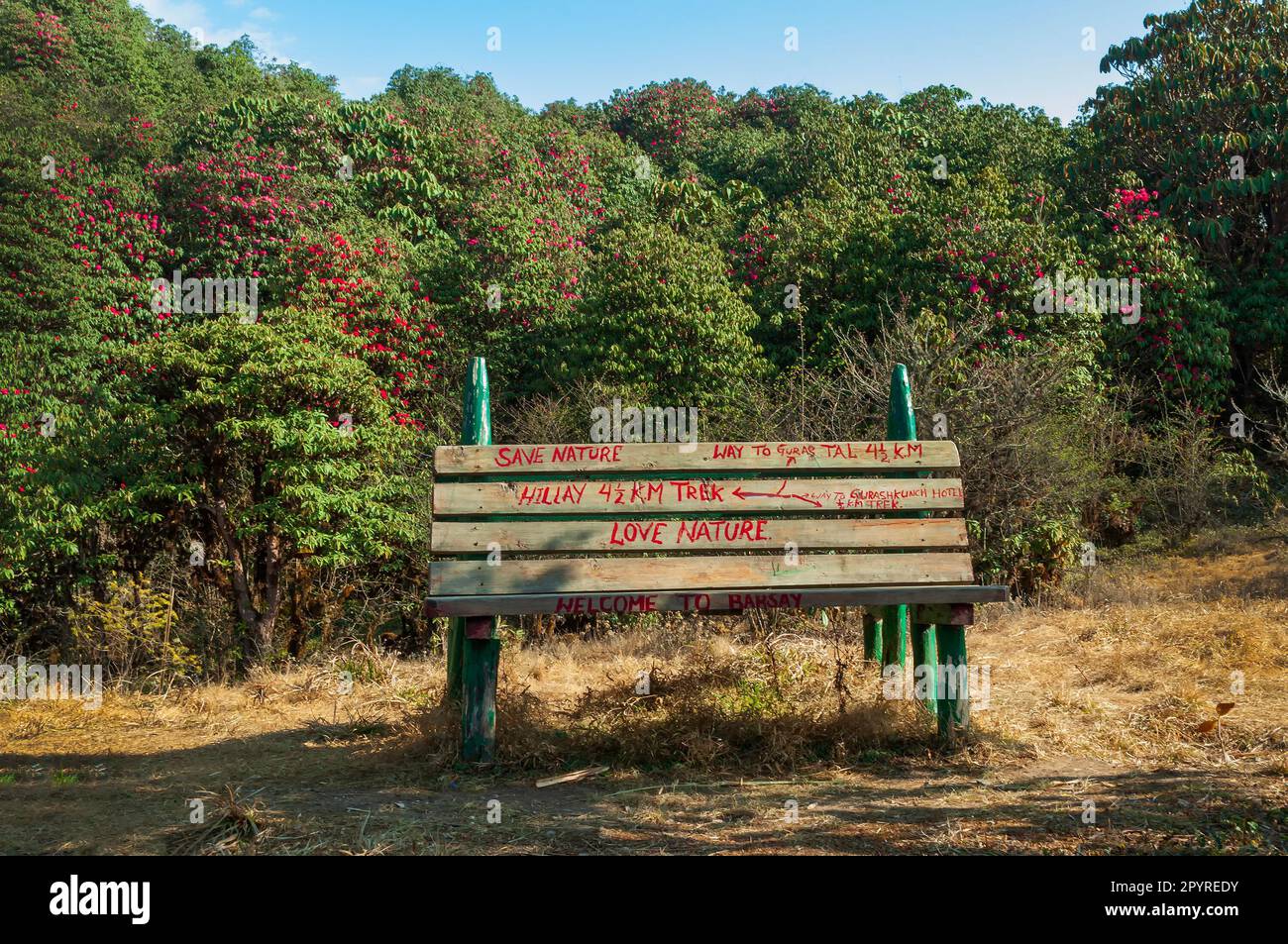 Signboard in forest showing way towards Varsey Rhododendron Sanctuary ...