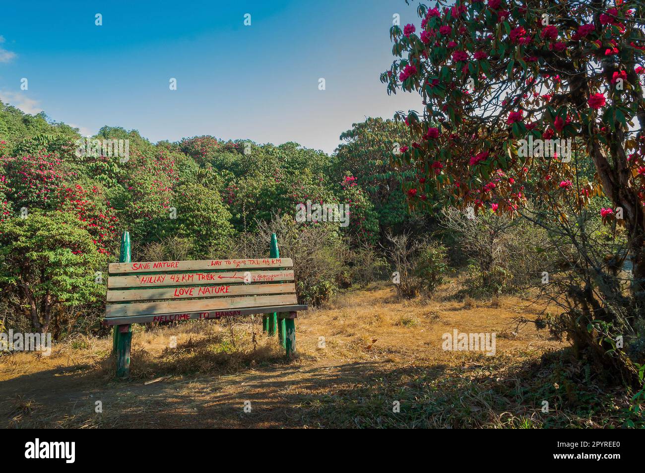 Varsey rhododendron sanctuary hi-res stock photography and images - Alamy