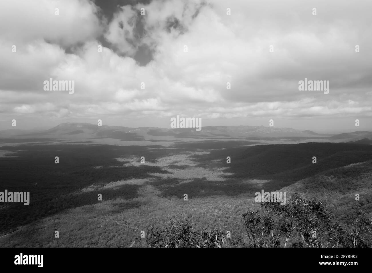 Its the most wonderful time Black and White Stock Photos & Images - Alamy