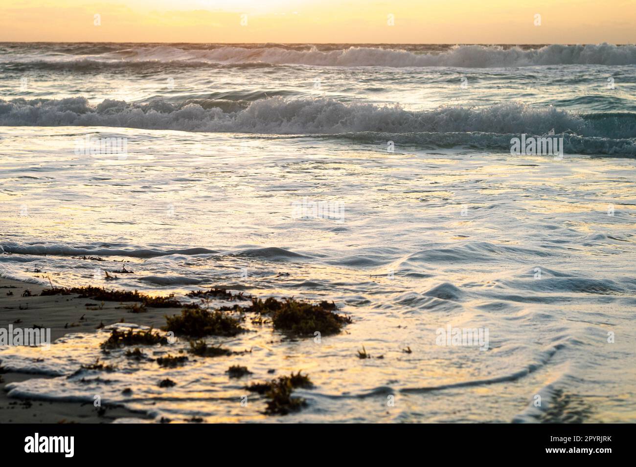 The tide is pulling in the waves while the sun is bringing on a new day ...