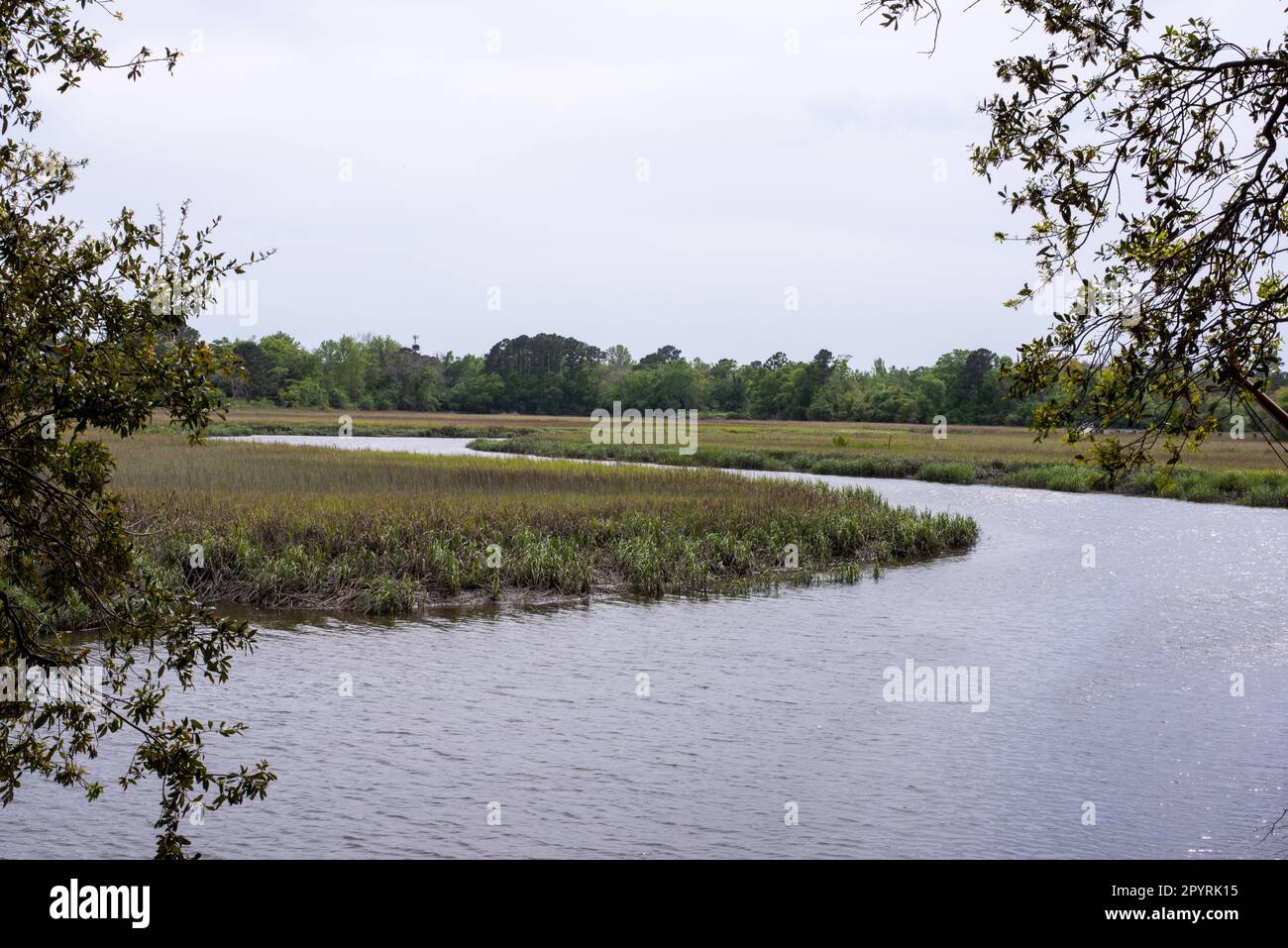A sharp bend in the Ashley River in Charleston, South Carolina makes an ...