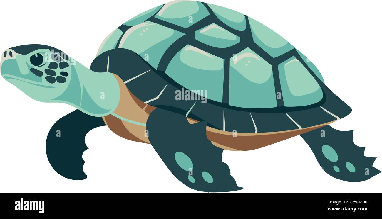 Cute turtle swimming in blue aquatic over white Stock Vector Image ...