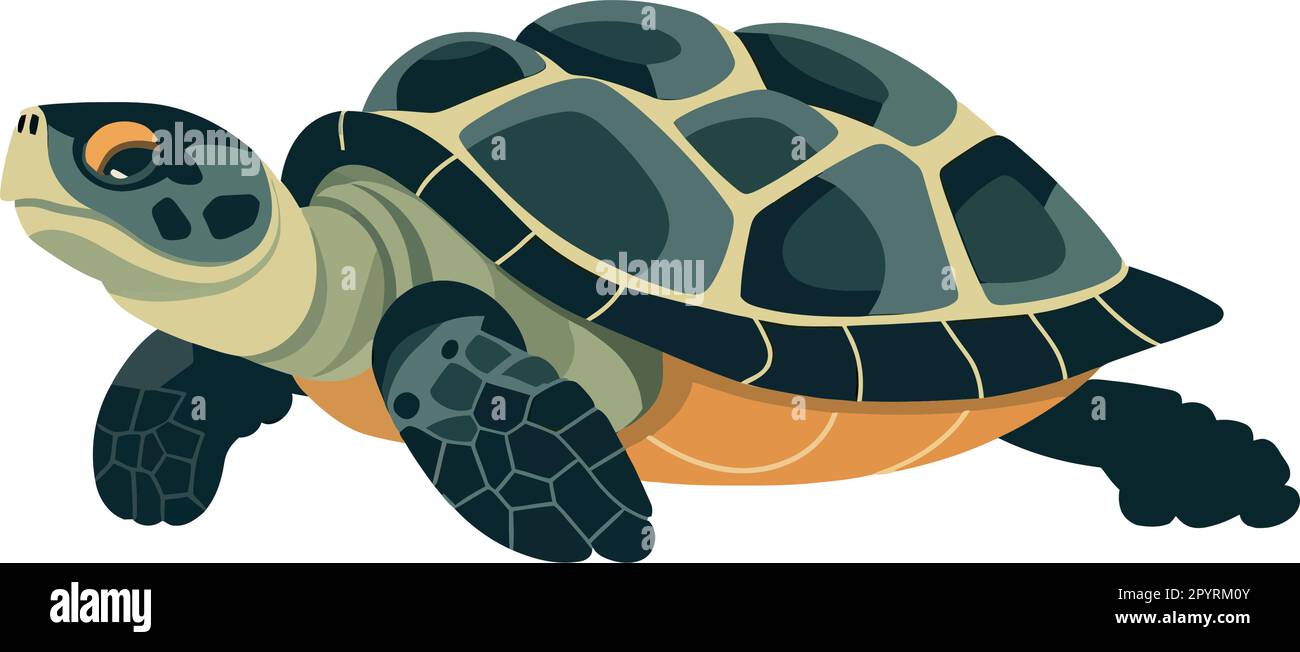 Slow turtle crawls with cute tortoise shell over white Stock Vector ...