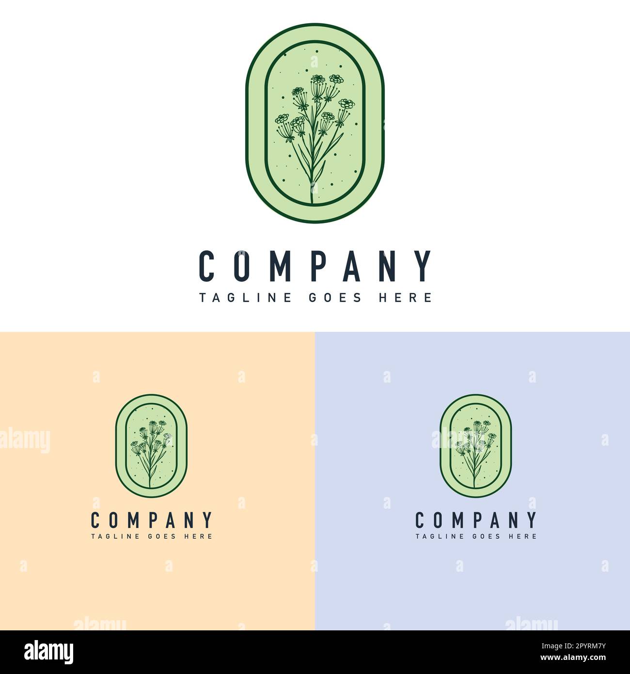 Elegant floral logo template. Botanical Vector illustration for your ...