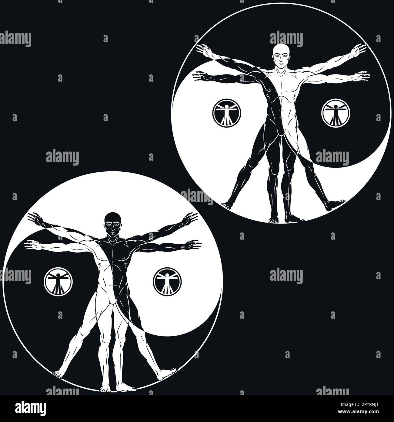 By drawing proportions Stock Vector Images - Alamy