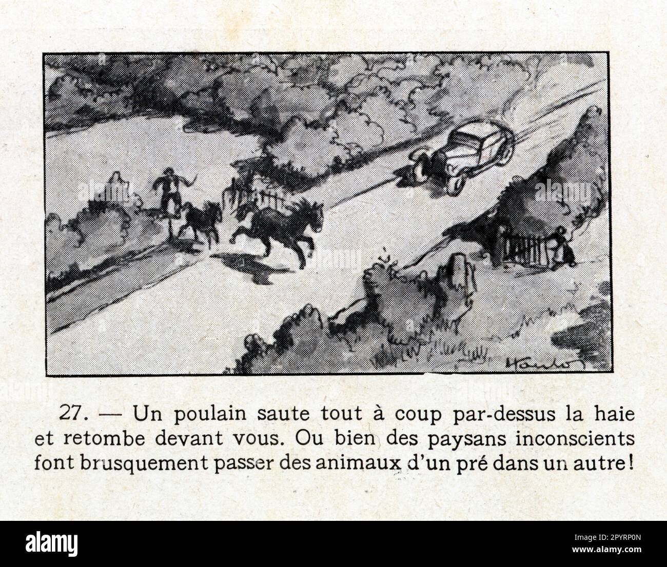 Code de la route ancien, 1929. Un poulain saute tout à coup par-dessus ...