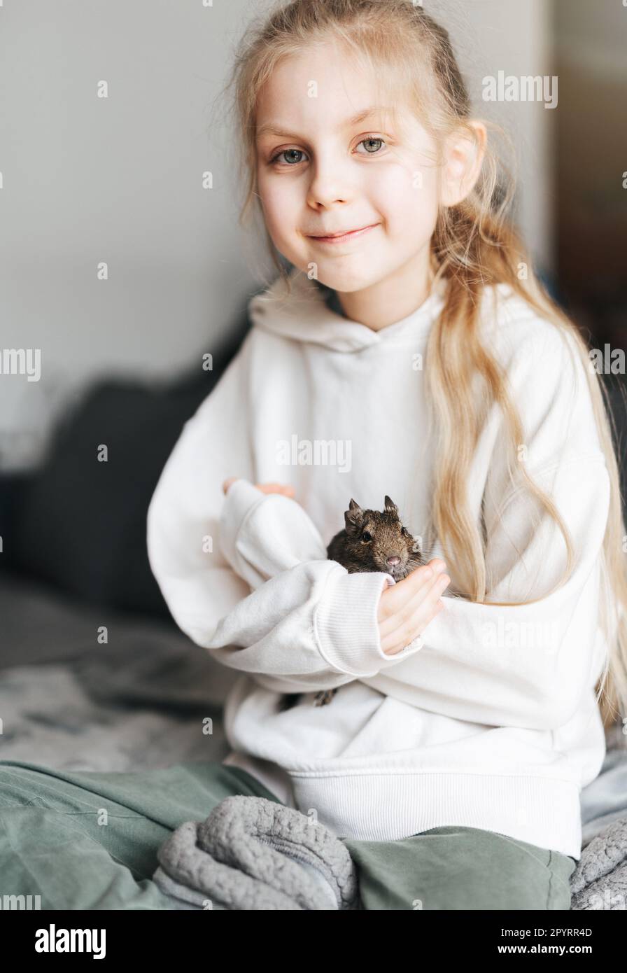 Young girl playing with cute chilean degu squirrel. Cute pet sitting on ...