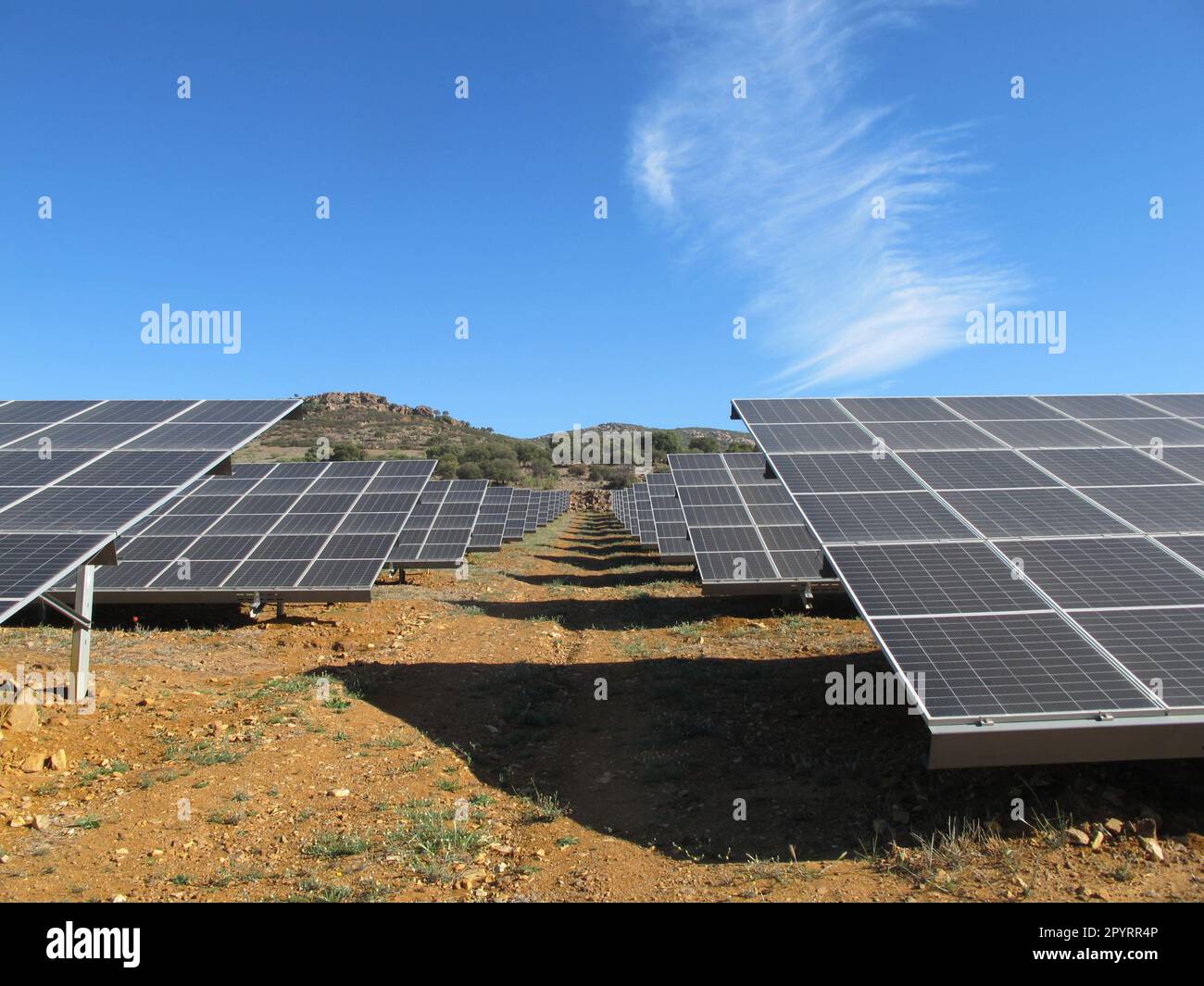 Photoactive hi-res stock photography and images - Alamy