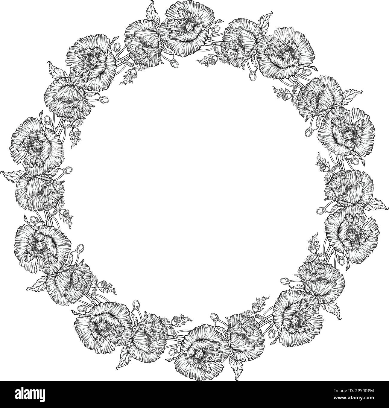 White poppies floral wreath Stock Vector Images - Alamy