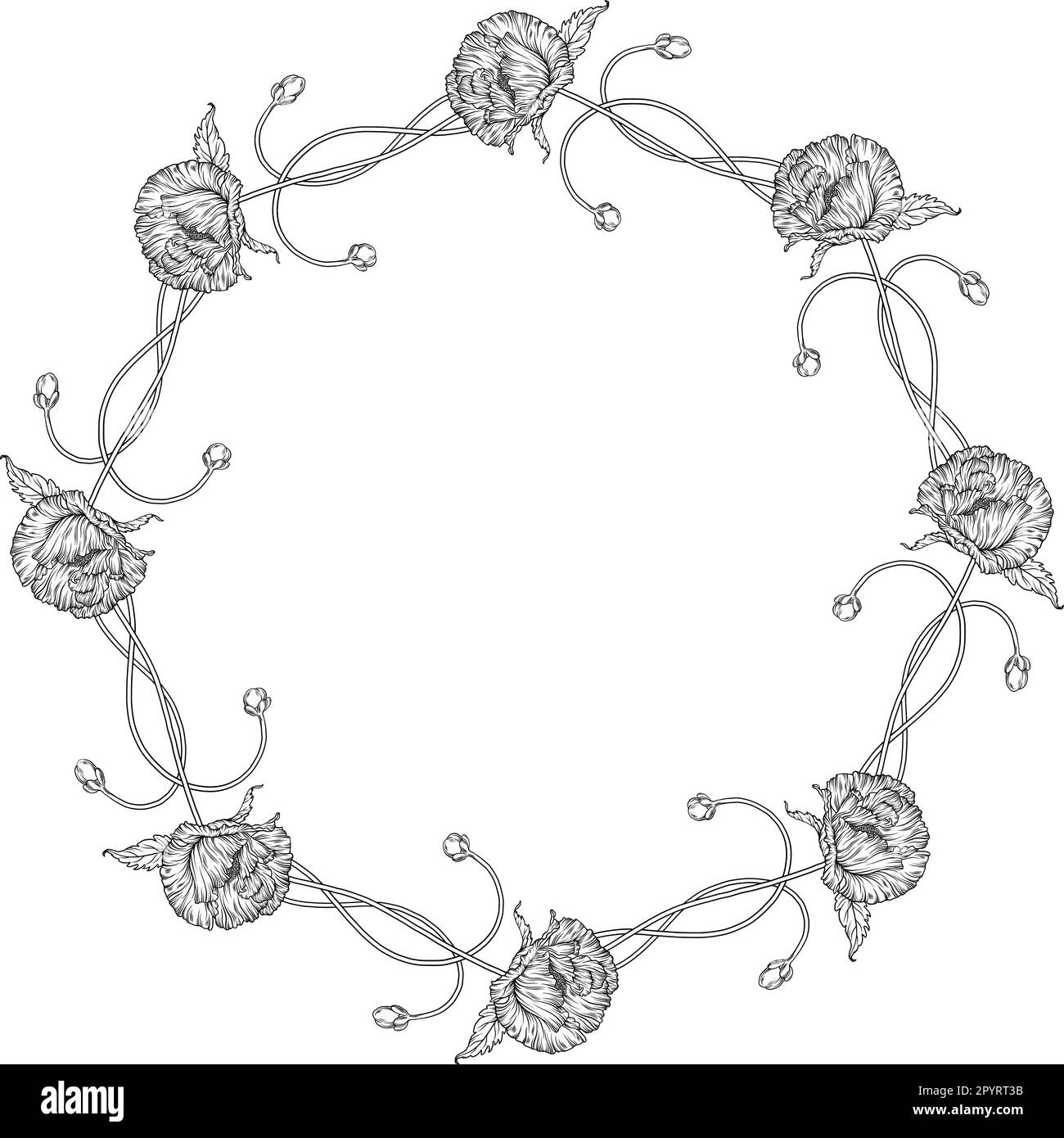 White poppies floral wreath Stock Vector Images - Alamy