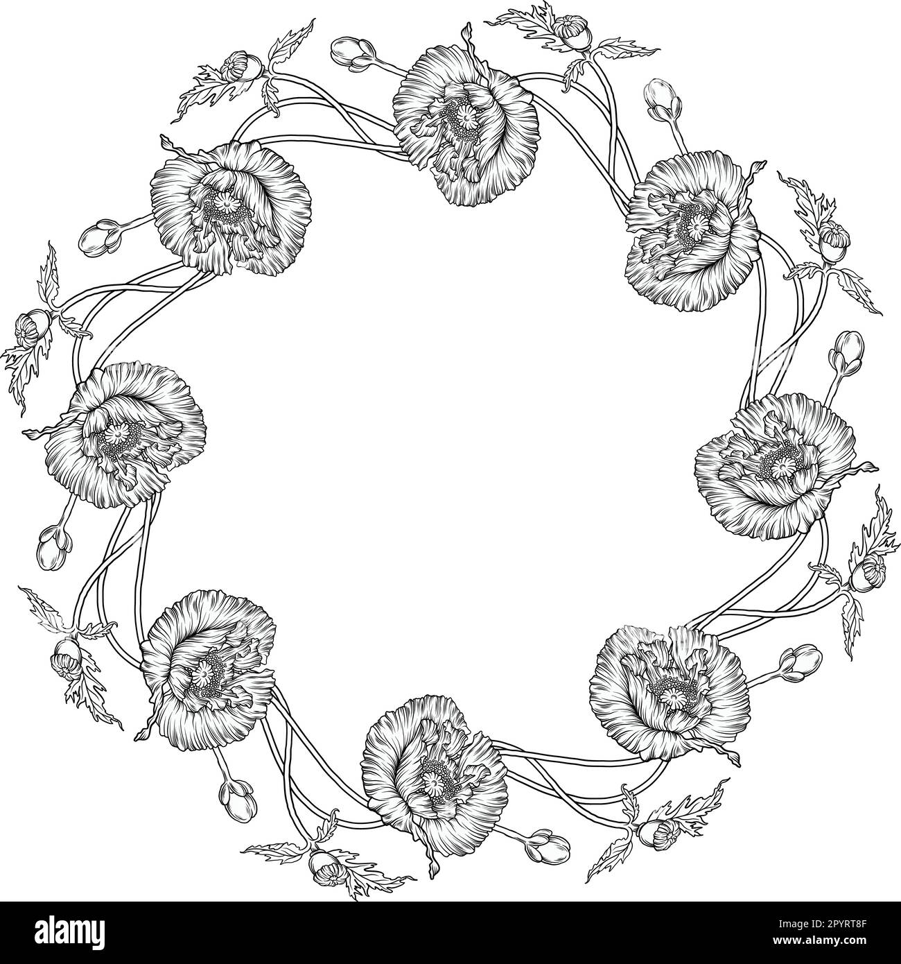 White poppies floral wreath Cut Out Stock Images & Pictures - Alamy