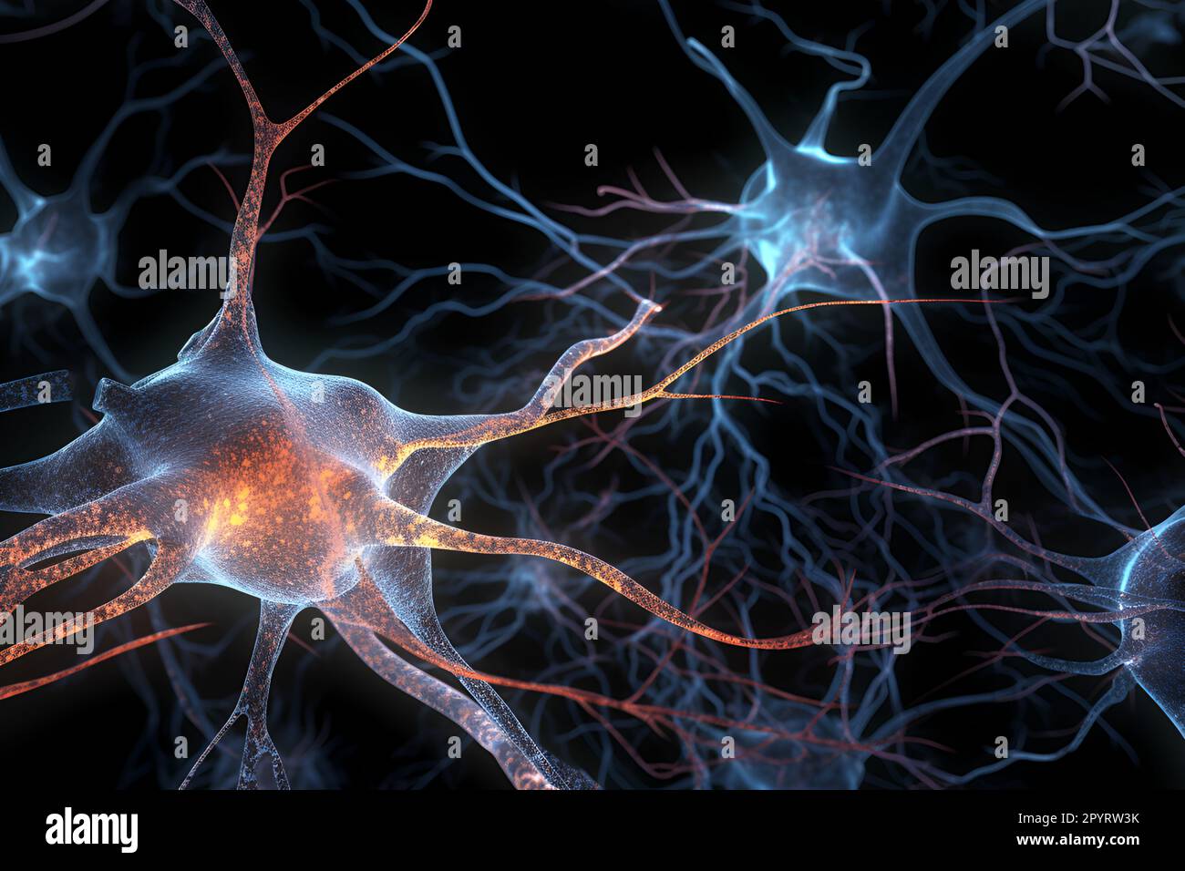 Neurons In The Brain 3d