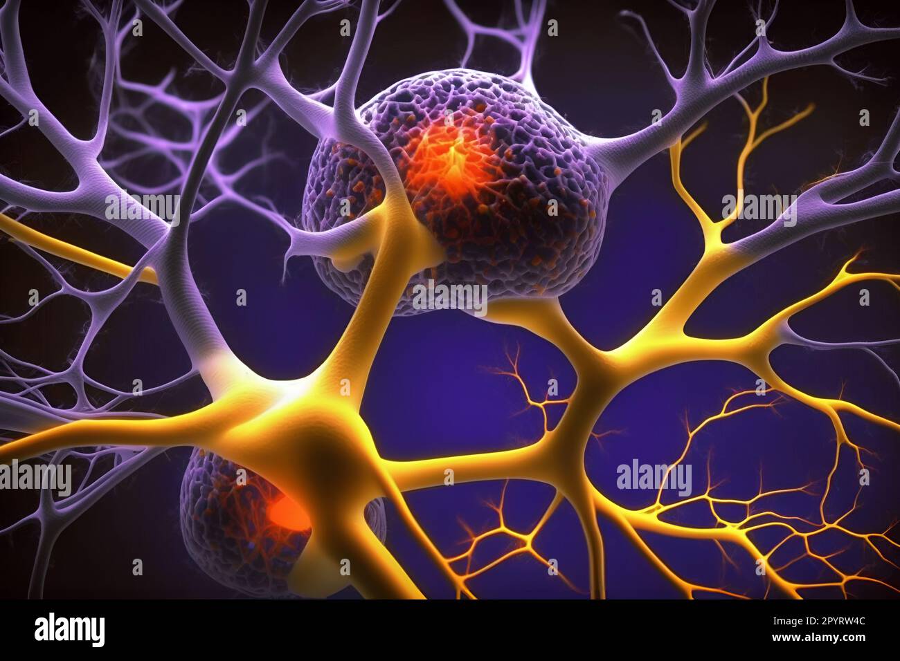 Structure Of Neuron 3d