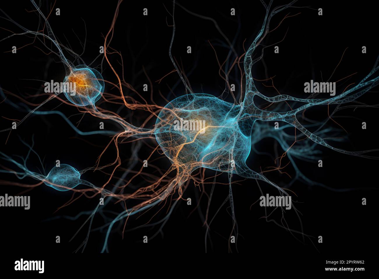Closeup view of human neurons in brain and neuron connections in 3d ...
