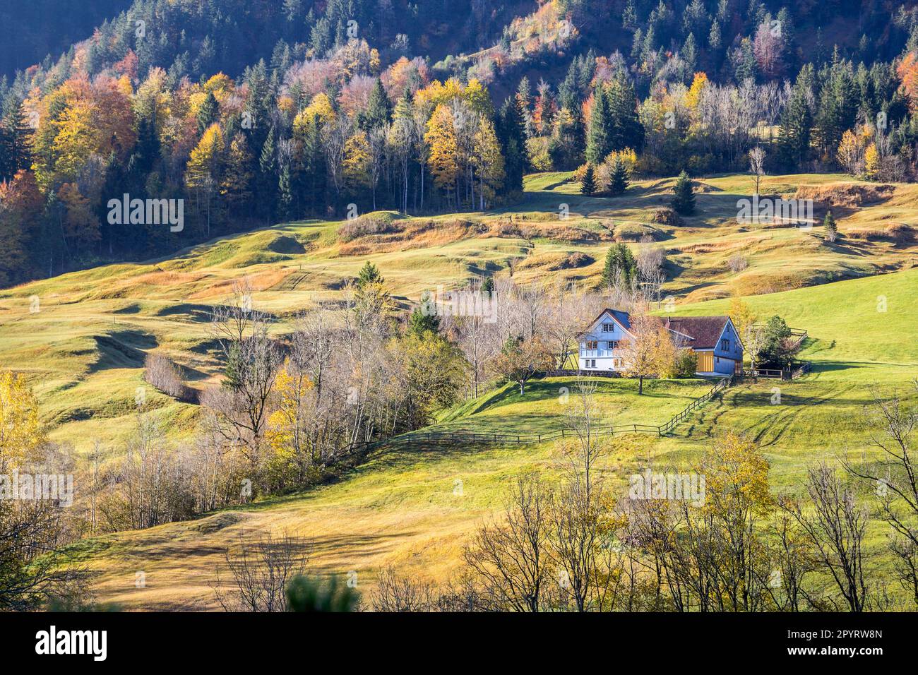 Village in Swiss Appenzellerland in autumn season atmosphere of morning ...