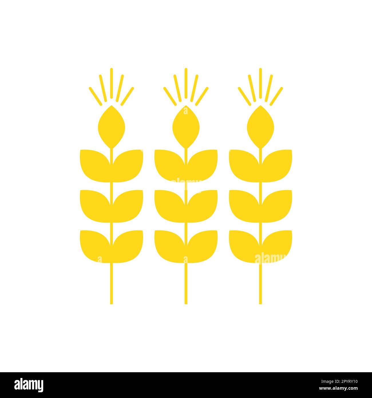 Three spikelets on a white background Vector illustration Stock Vector ...