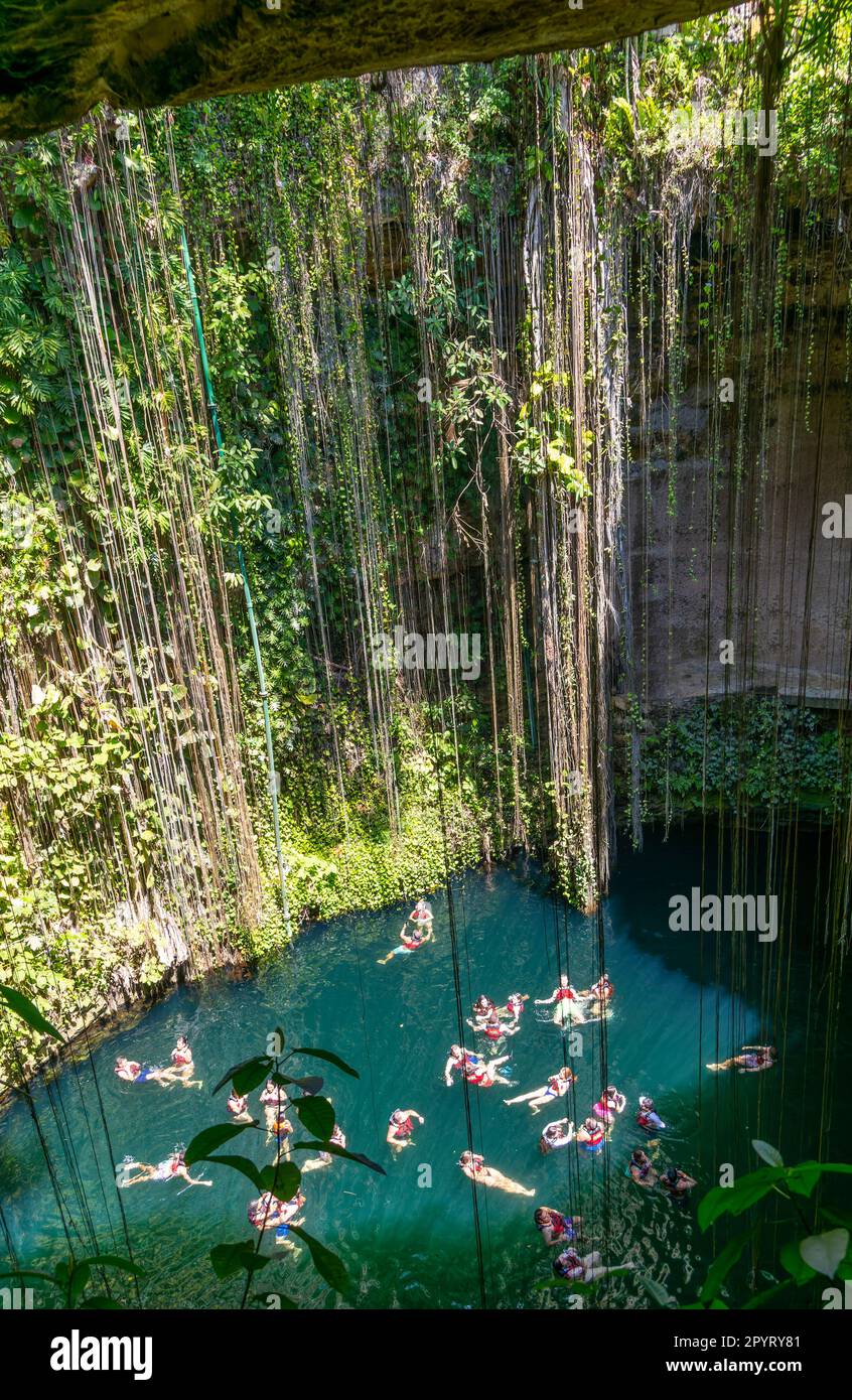 People swimming in limestone sinkhole pool, Cenote Ik kil, Pisté ...