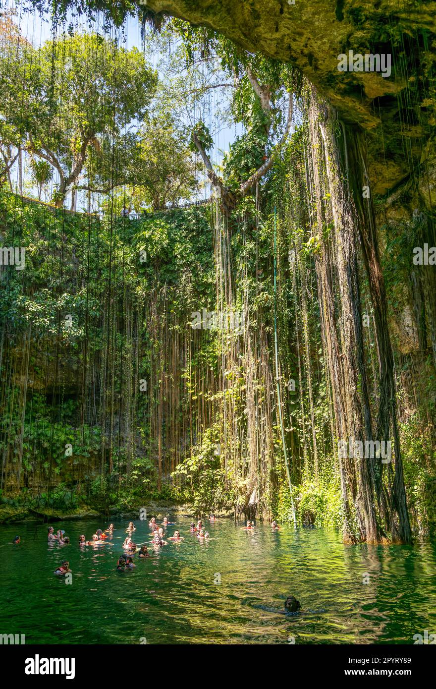 People swimming in limestone sinkhole pool, Cenote Ik kil, Pisté ...