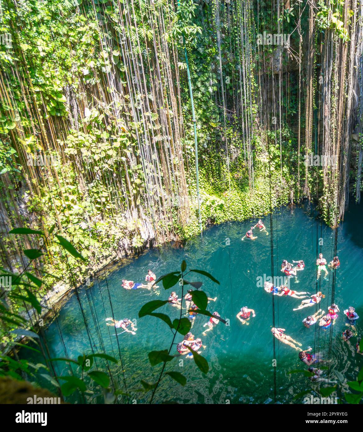 People swimming in limestone sinkhole pool, Cenote Ik kil, Pisté ...