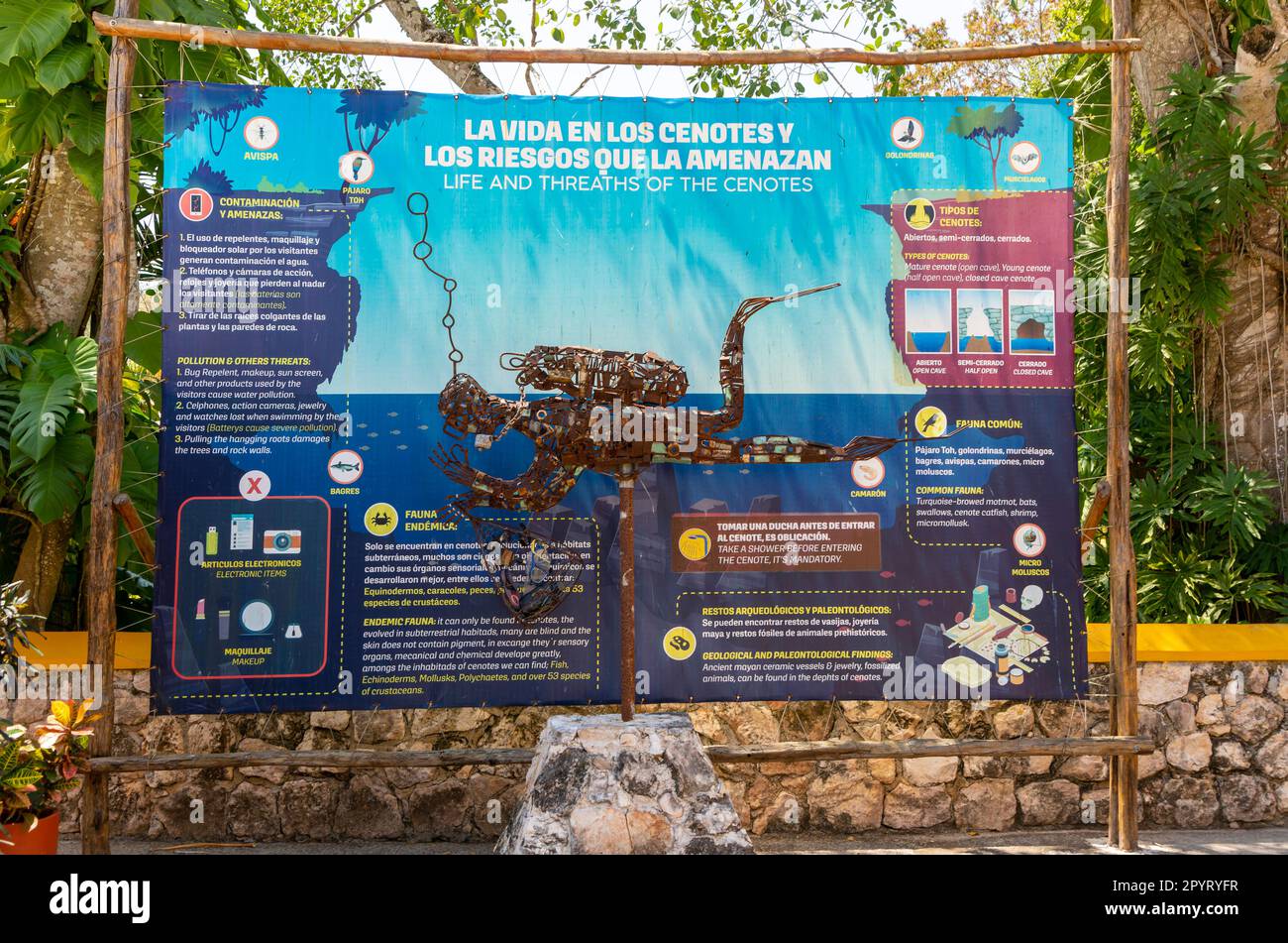 Environmental information poster about ecosystem of limestone cenotes ...