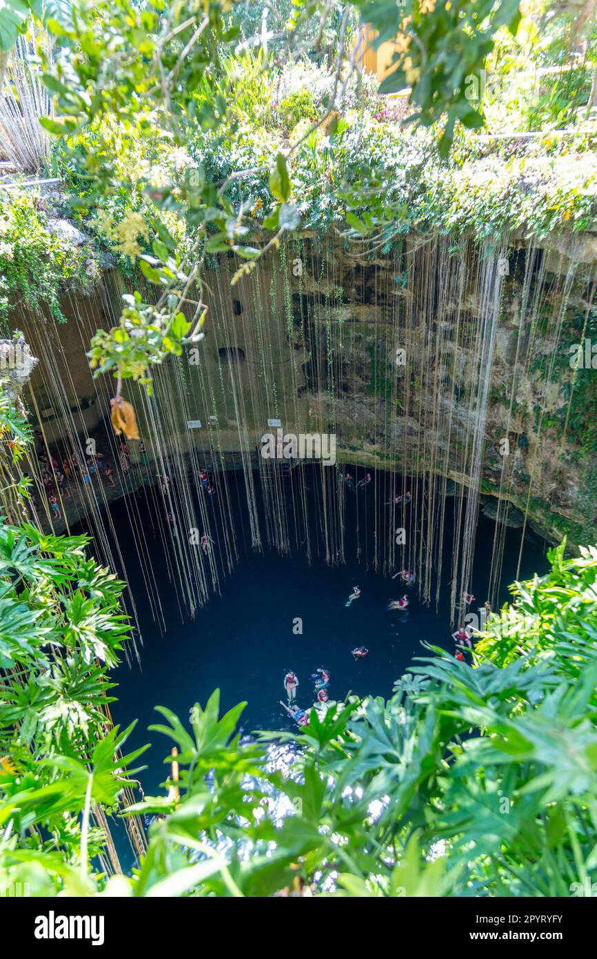 People swimming in limestone sinkhole pool, Cenote Ik kil, Pisté ...