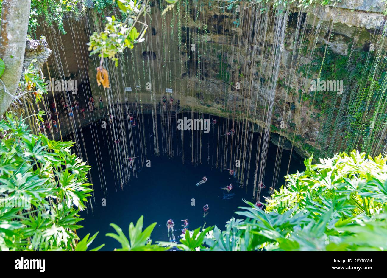 People swimming in limestone sinkhole pool, Cenote Ik kil, Pisté ...